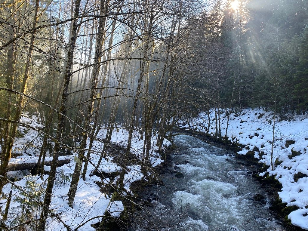Flag Mountain Trail - Sneak peeks of Mt. Hood, ZigZag Mountain and Tom ...