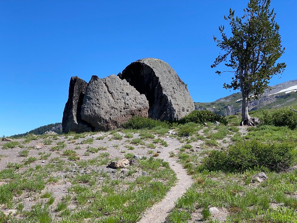 Paradise Park Loop - finally snow free (almost) - HikeIt