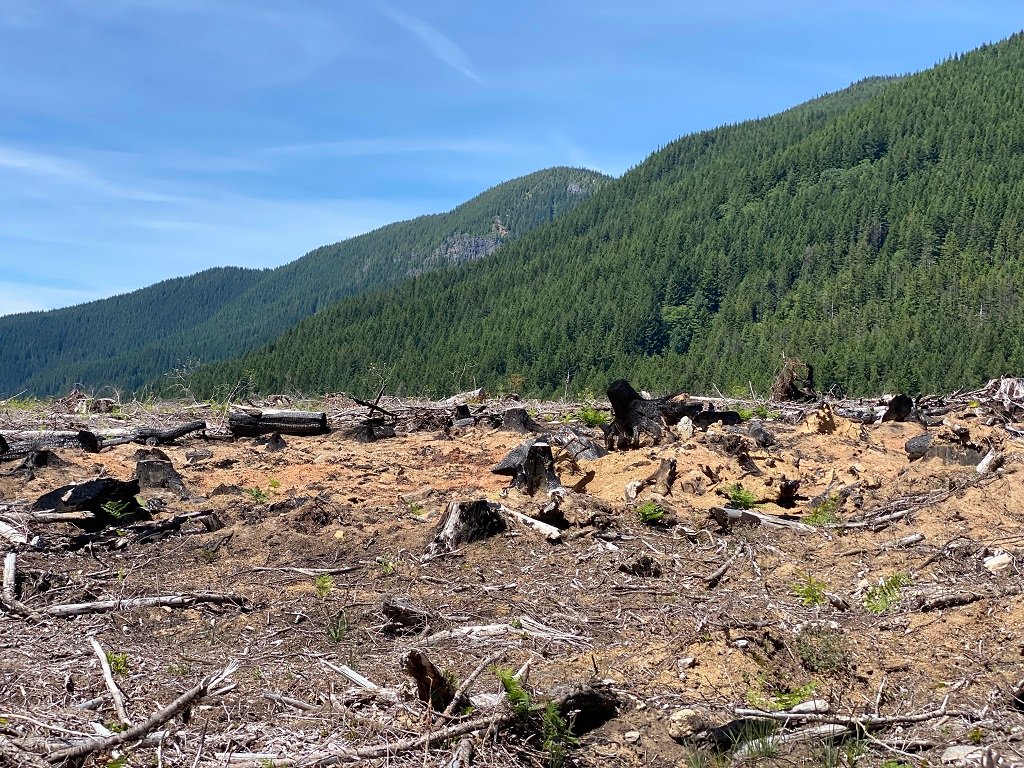 Zigzag Mountain Trail to Zigzag Mountain West - finally completed - HikeIt