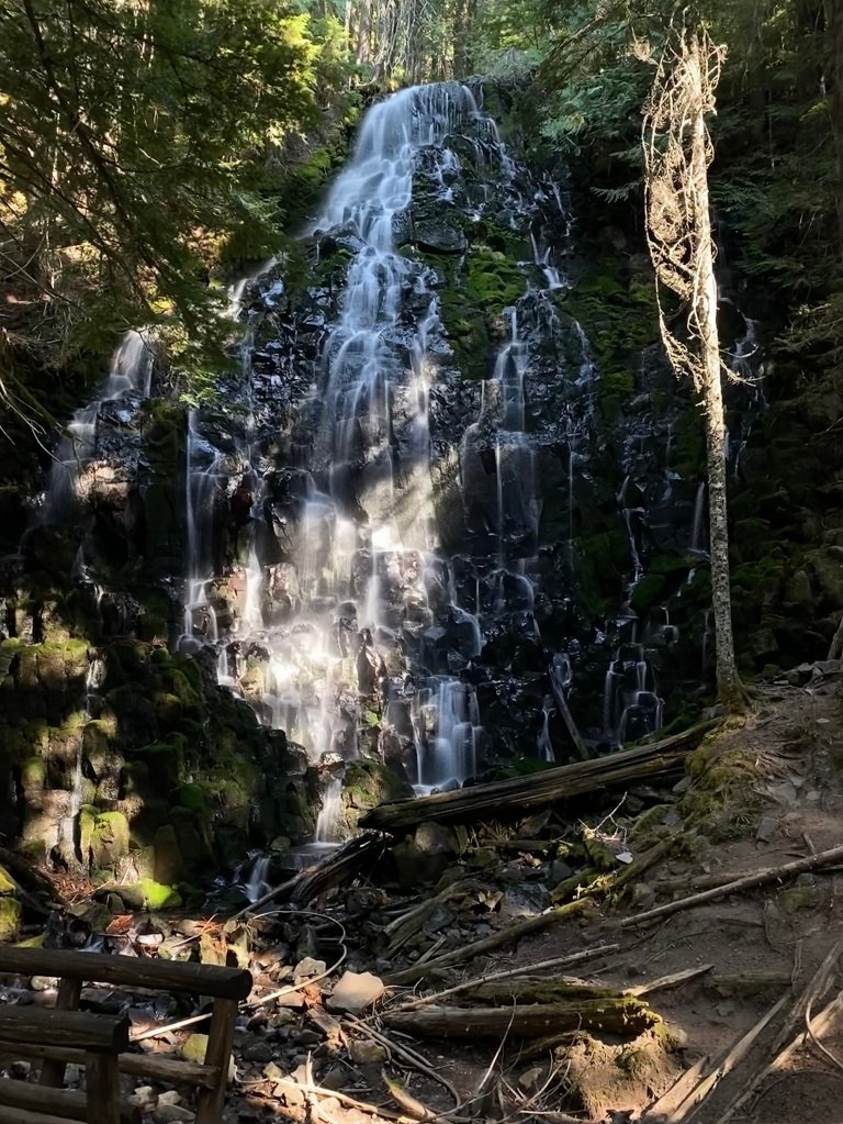 Ramona Falls (Mount Hood)- at least once per season? - HikeIt